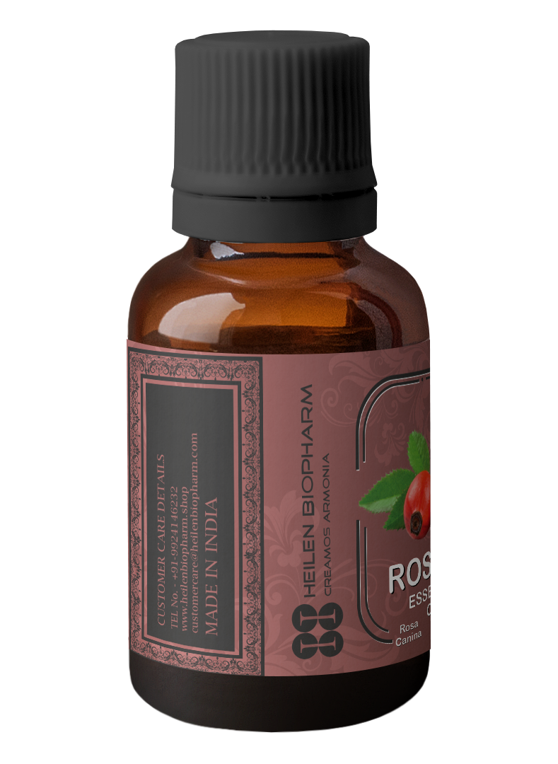 Rosehip Seed Essential Oil (Rosa canina) Moisturizer, Anti-inflammator ...