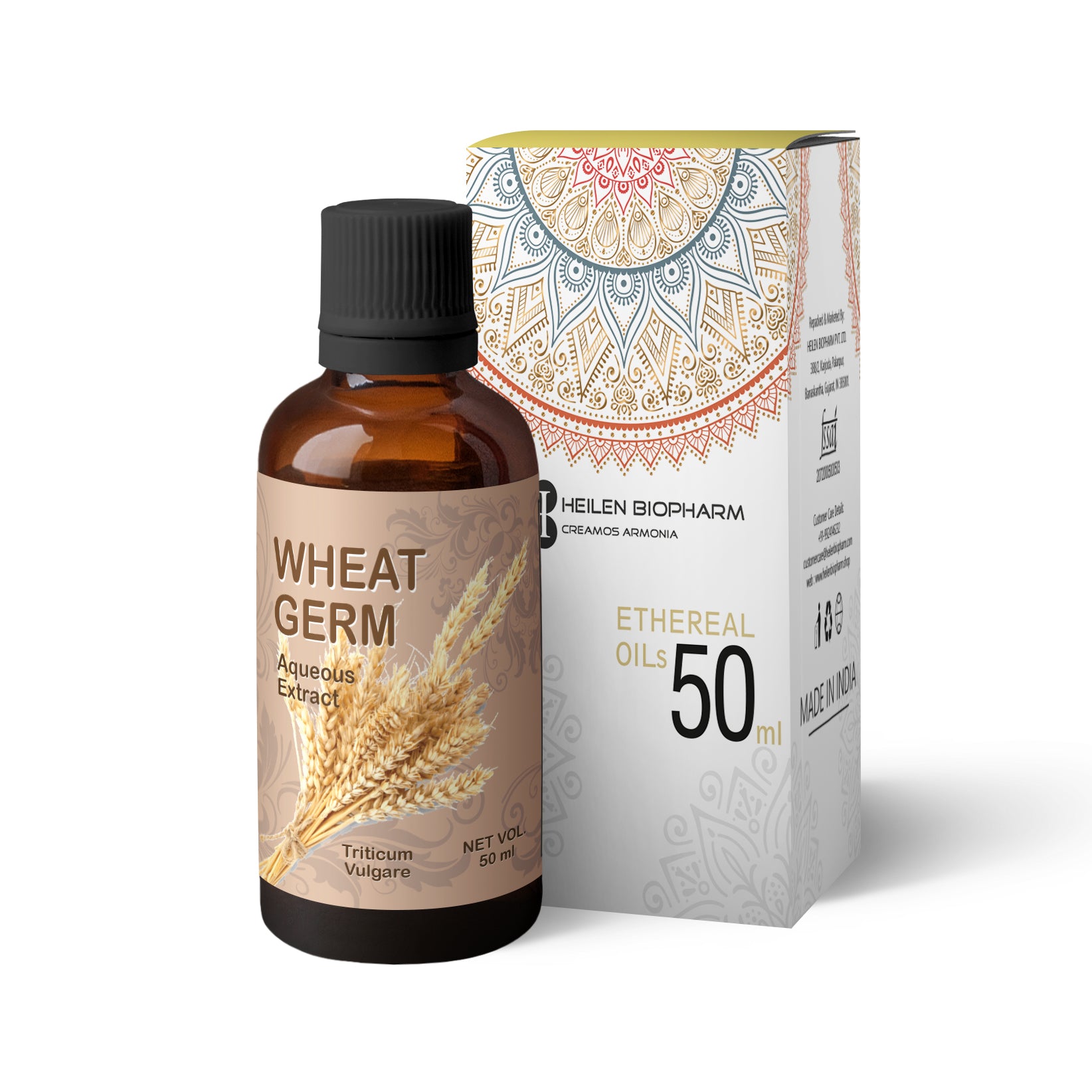 Wheat Germ Aqueous Extract (Triticum Vulgare) – Heilen Biopharm